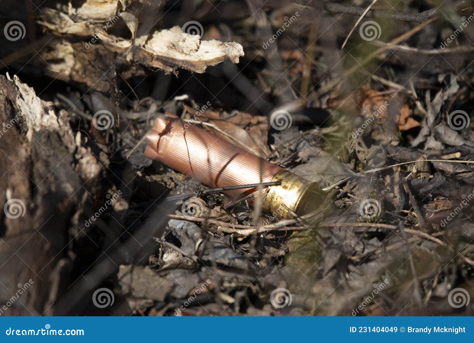 Ammunition Shell in Mud stock image. Image of ammunition - 231404049