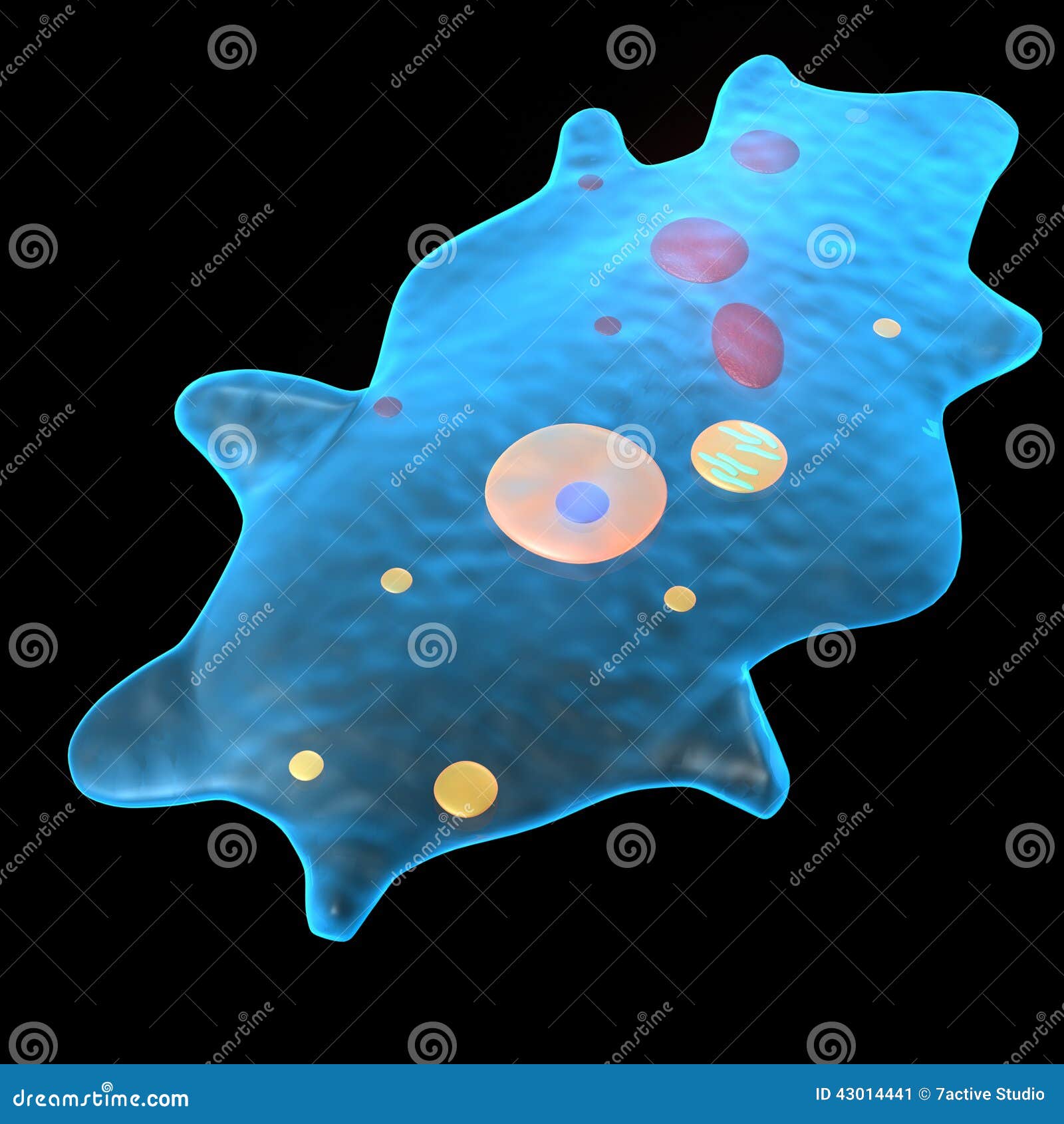 Amnesic stock illustrationer. Illustration av floror - 43014441