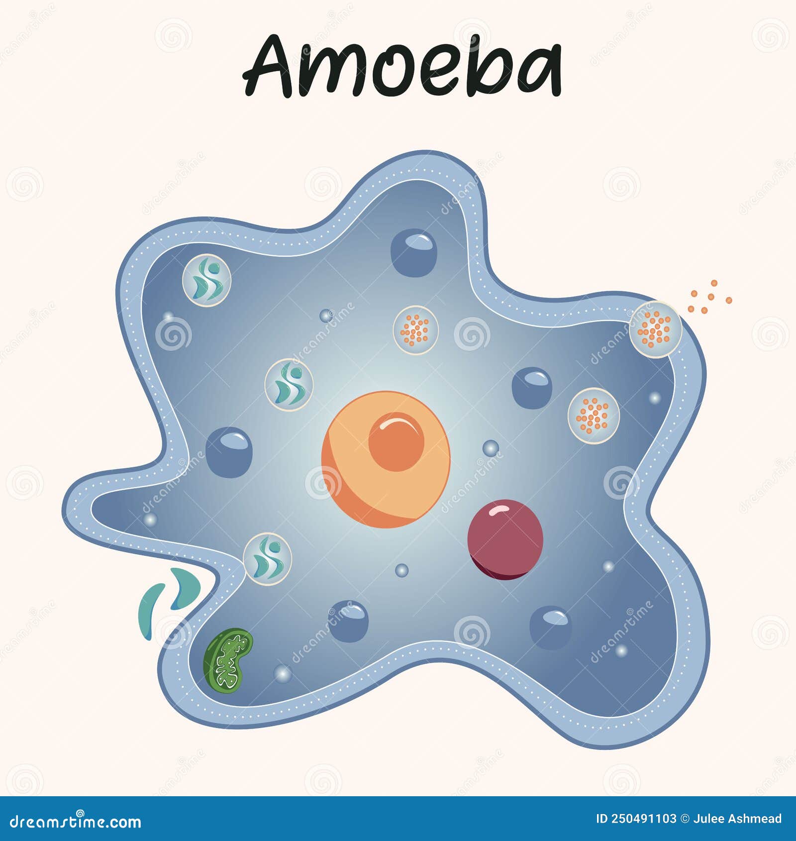 Amoeba. Vector Drawing Sign Icon | CartoonDealer.com #194202707