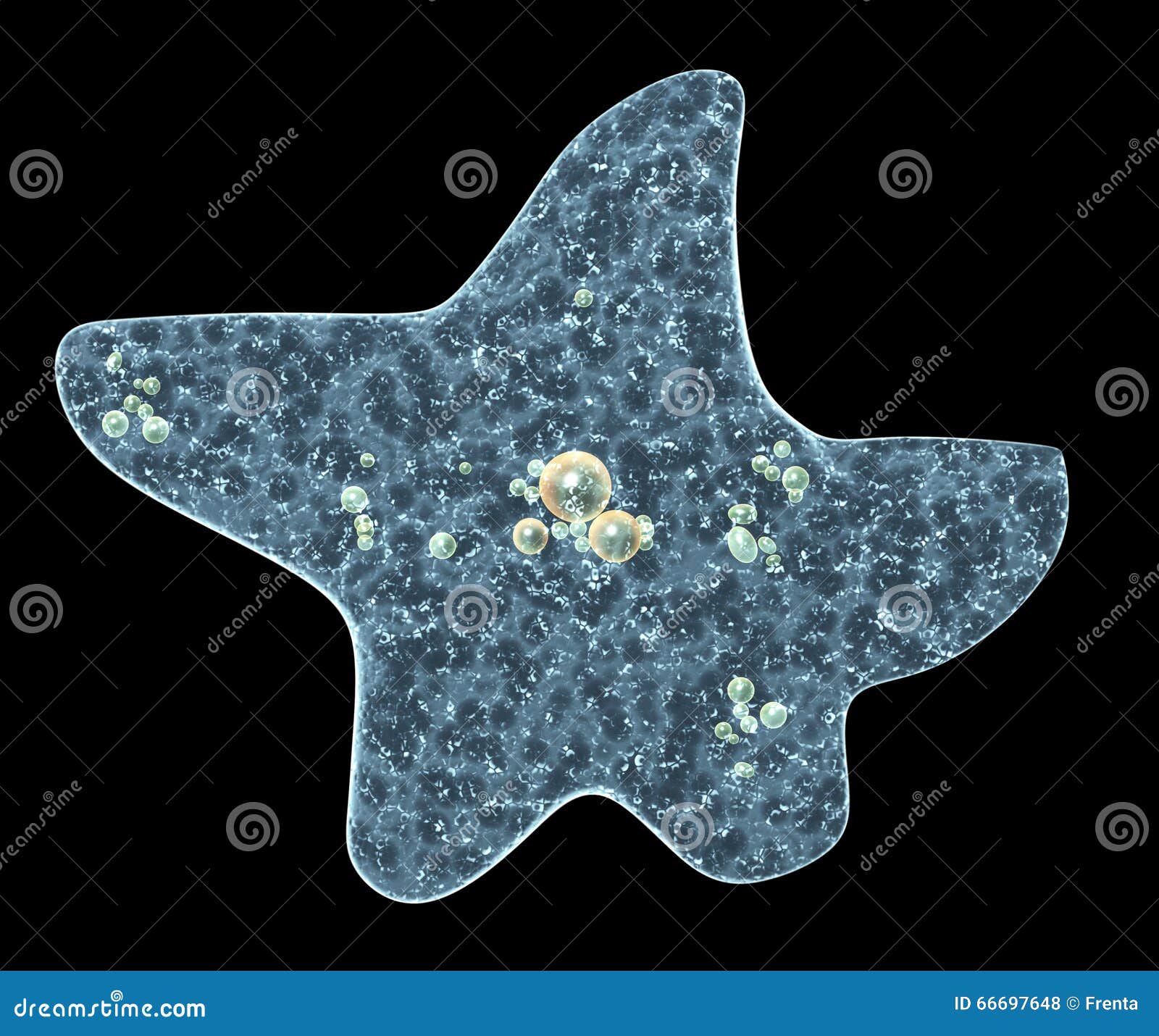 Amoeba on black background stock illustration. Illustration of organism ...