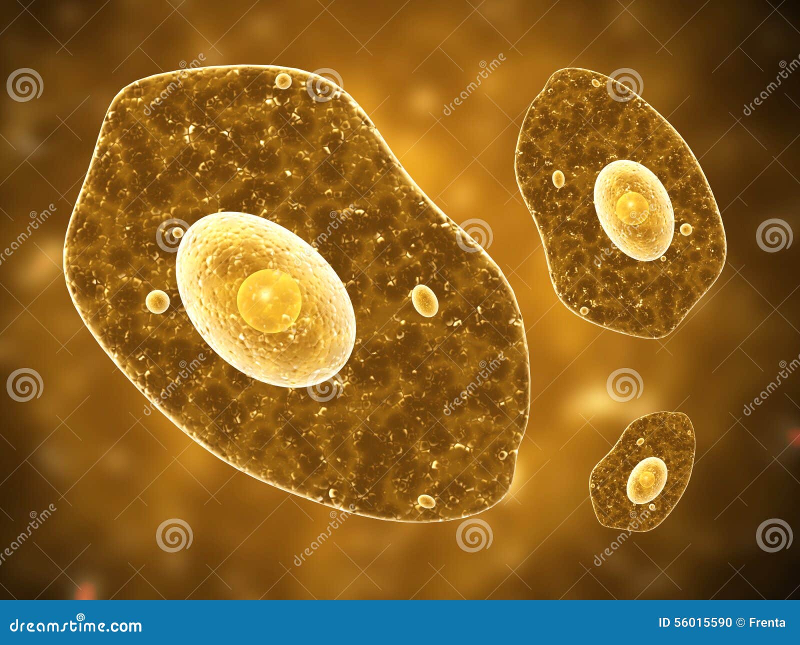 Amoeba on brown background stock illustration. Illustration of biology ...