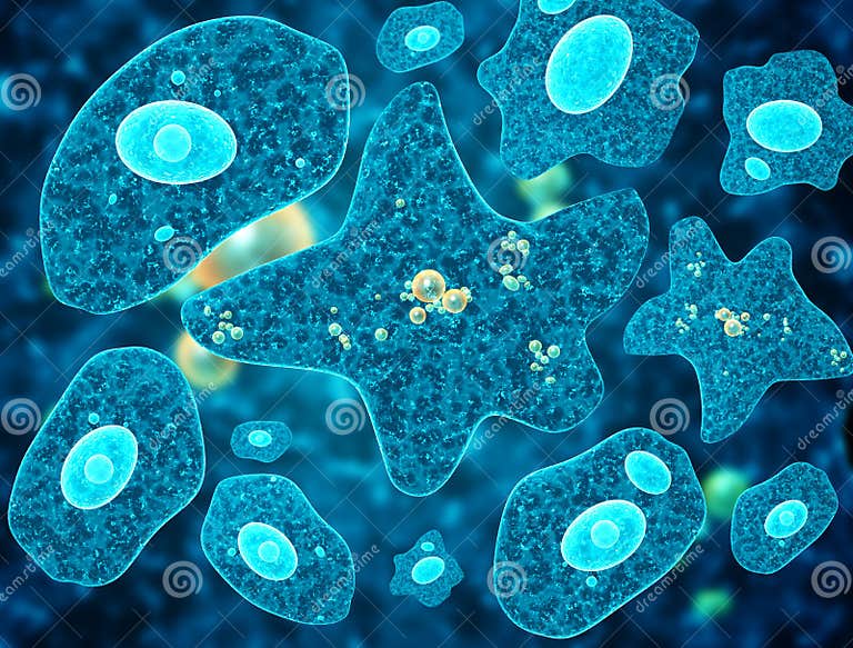 Amoebas on Abstract Blue Background Stock Illustration - Illustration ...