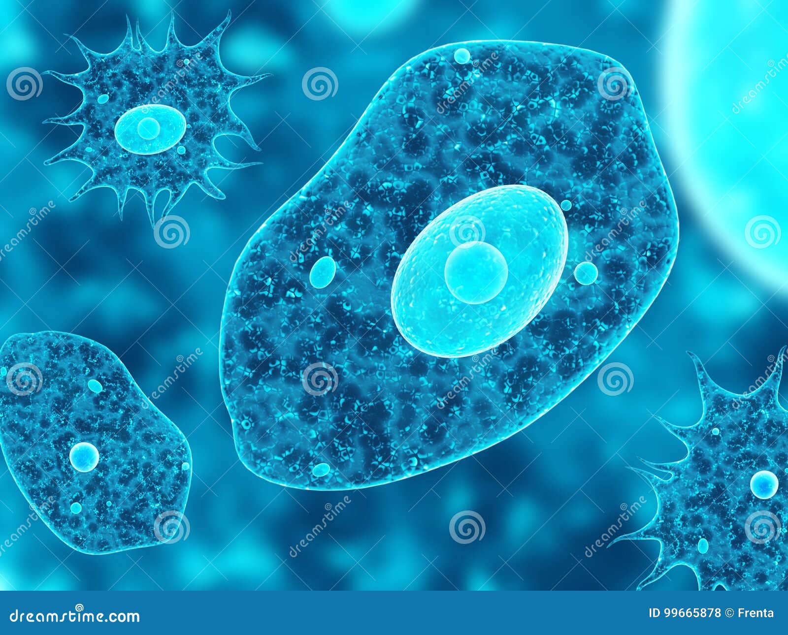 Amoebas on Abstract Blue Background Stock Illustration - Illustration ...