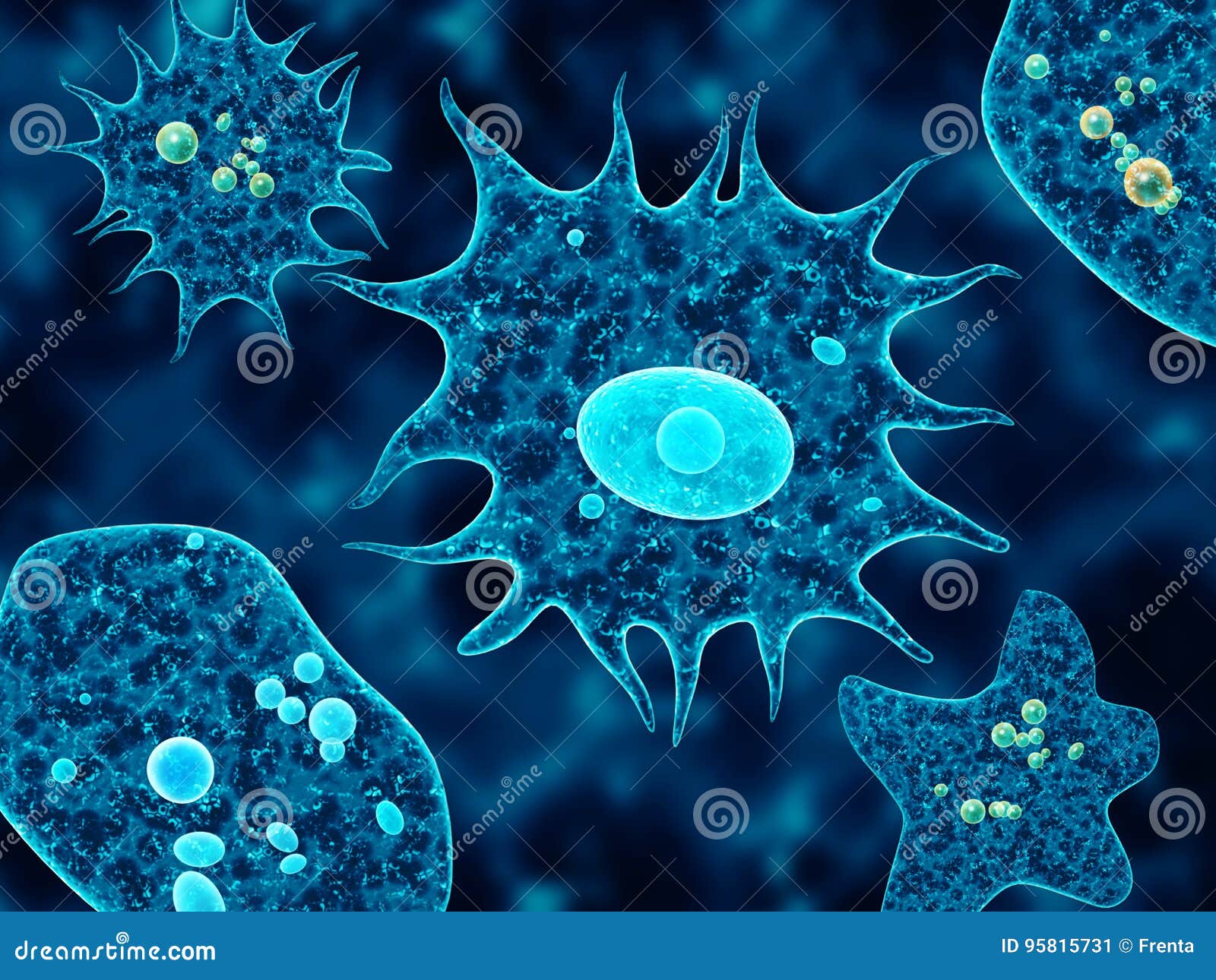 Amoebas on Black Background Stock Illustration - Illustration of macro ...