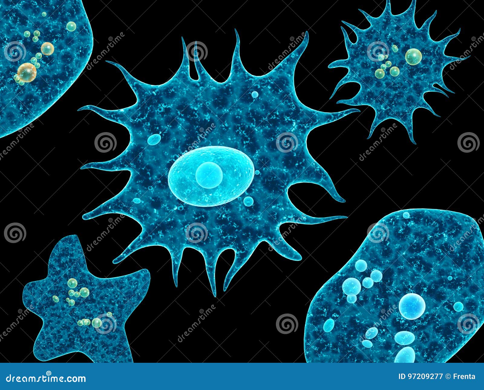 Amoebas on Black Background Stock Illustration - Illustration of danger ...
