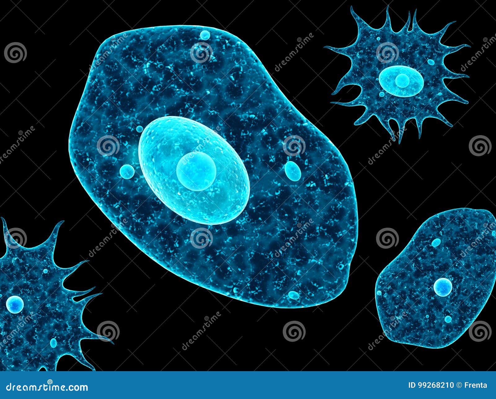 Amoebas on Black Background Stock Illustration - Illustration of ...
