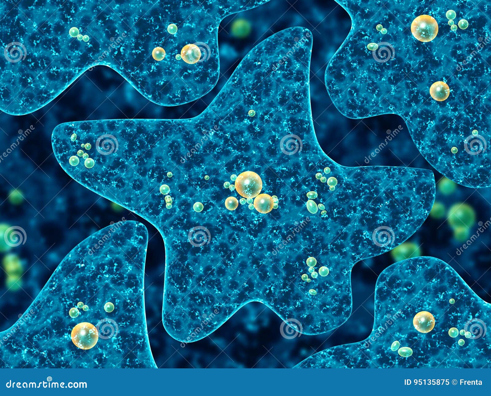 Amoebas on blue background stock illustration. Illustration of ...