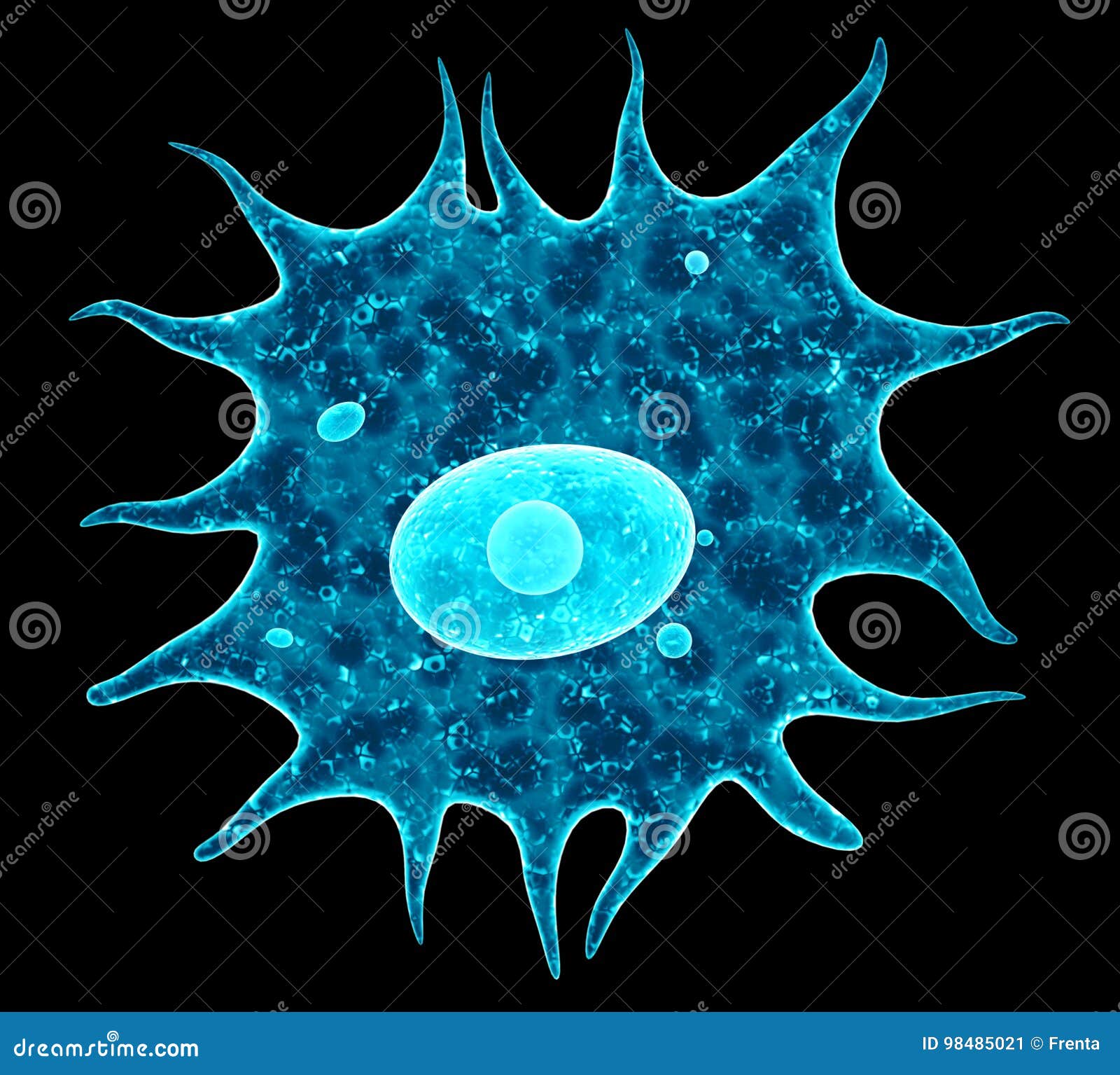 Amoebe Op Zwarte Achtergrond Stock Illustratie - Illustration of amoebe ...
