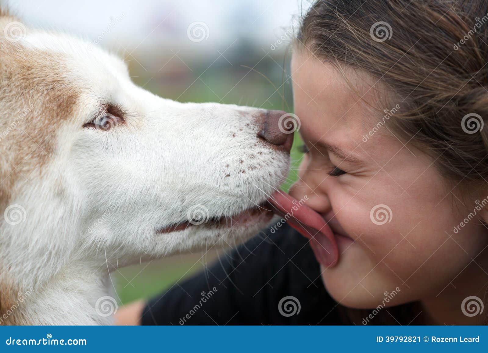 Amor del perro imagen de archivo. Imagen de sorpresa - 39792821