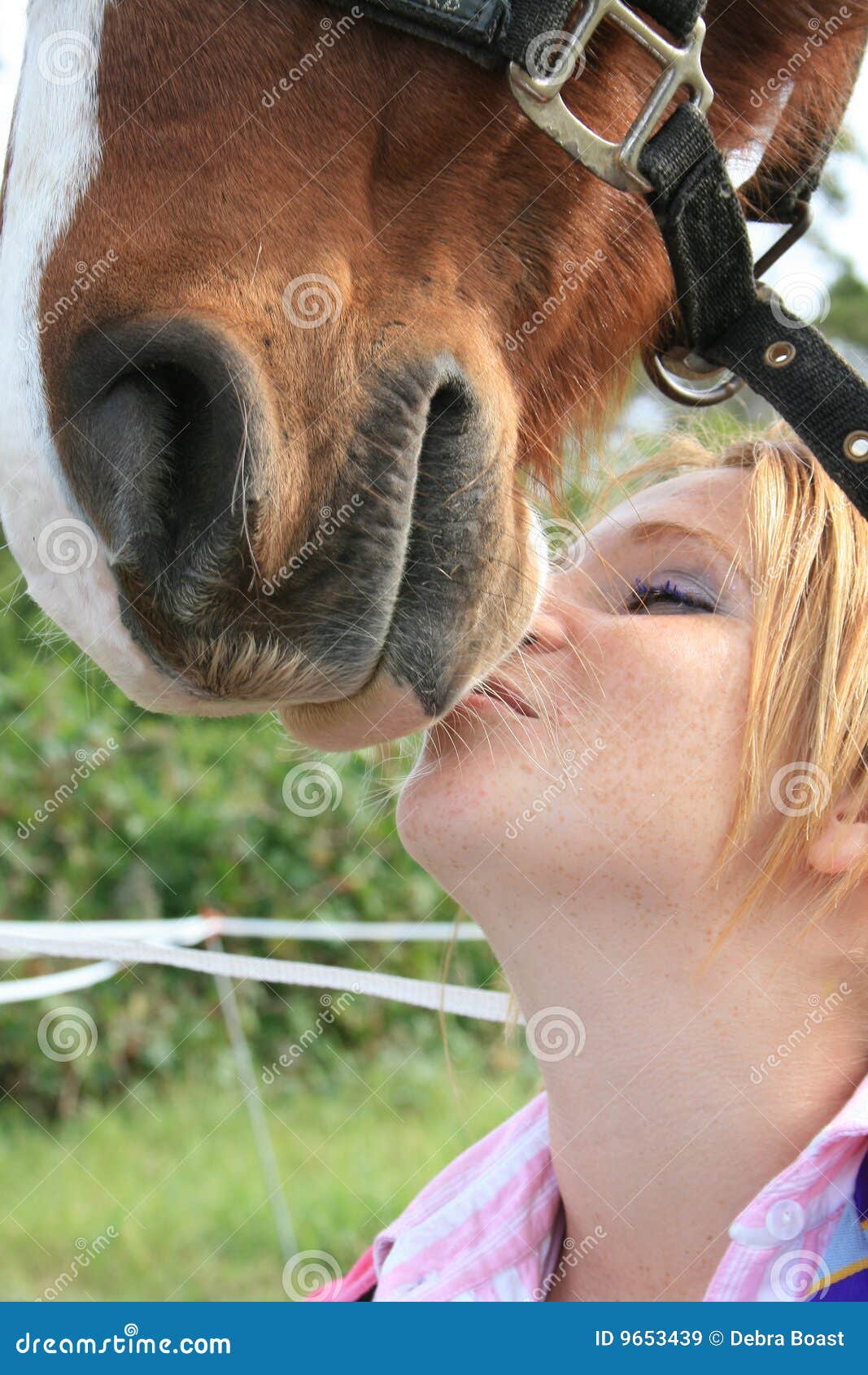 Amor del potro imagen de archivo. Imagen de diferente - 9653439