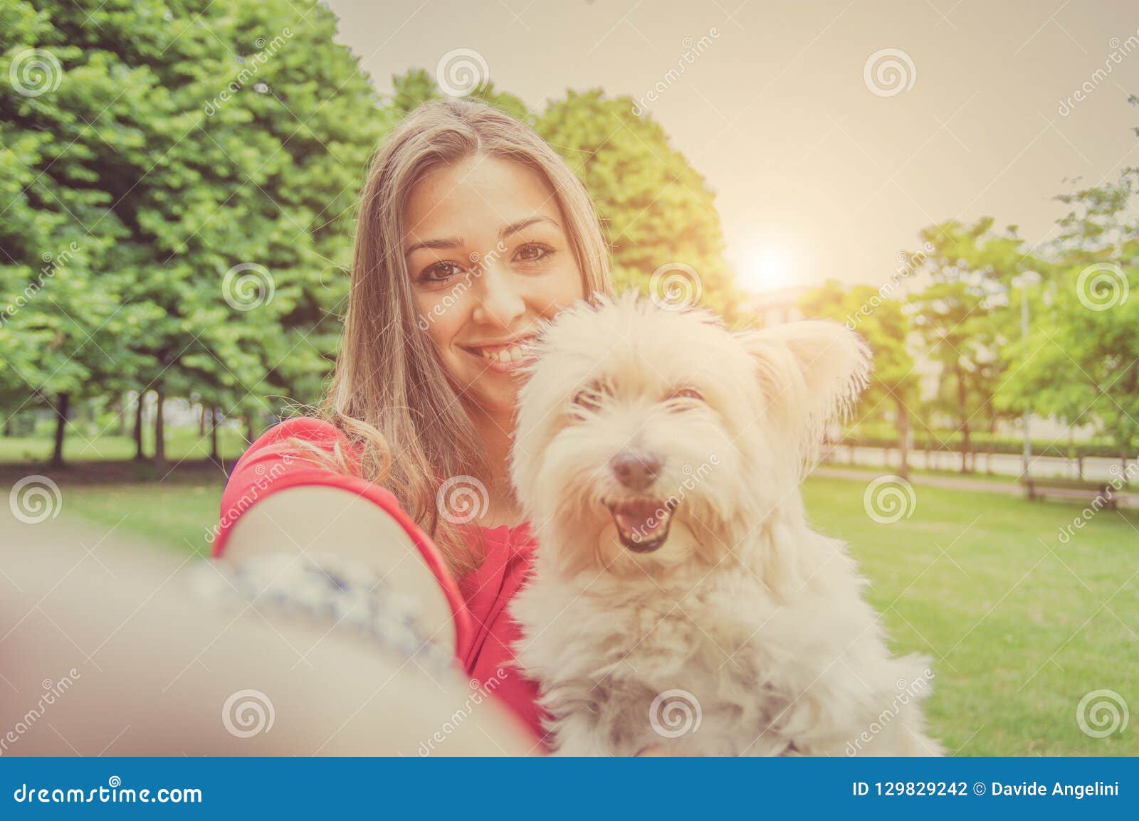 Amor Entre El Ser Humano Y El Perro Foto de archivo - Imagen de animal ...