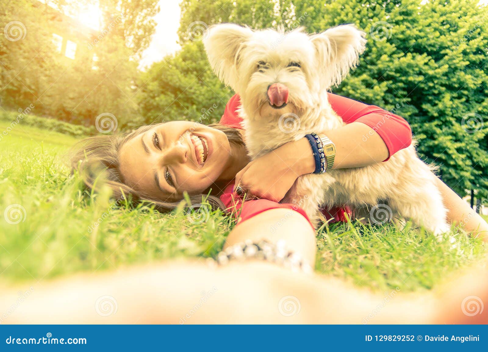 Amor Entre El Ser Humano Y El Perro Foto de archivo - Imagen de fondo ...
