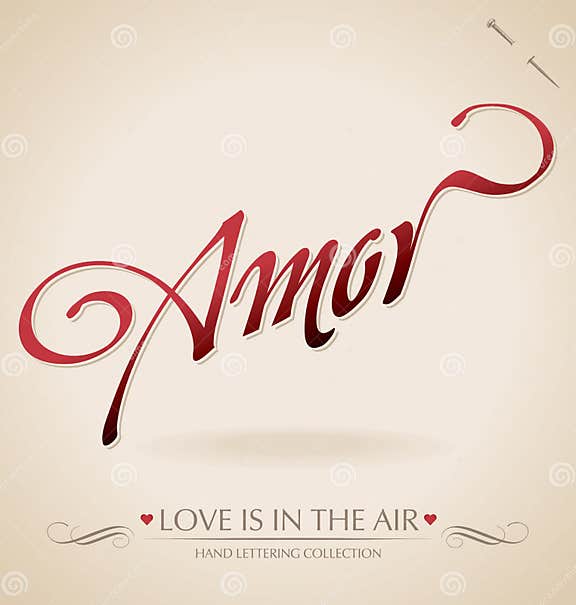 Amor Hand Lettering (vector) Stock Vector - Illustration of background ...