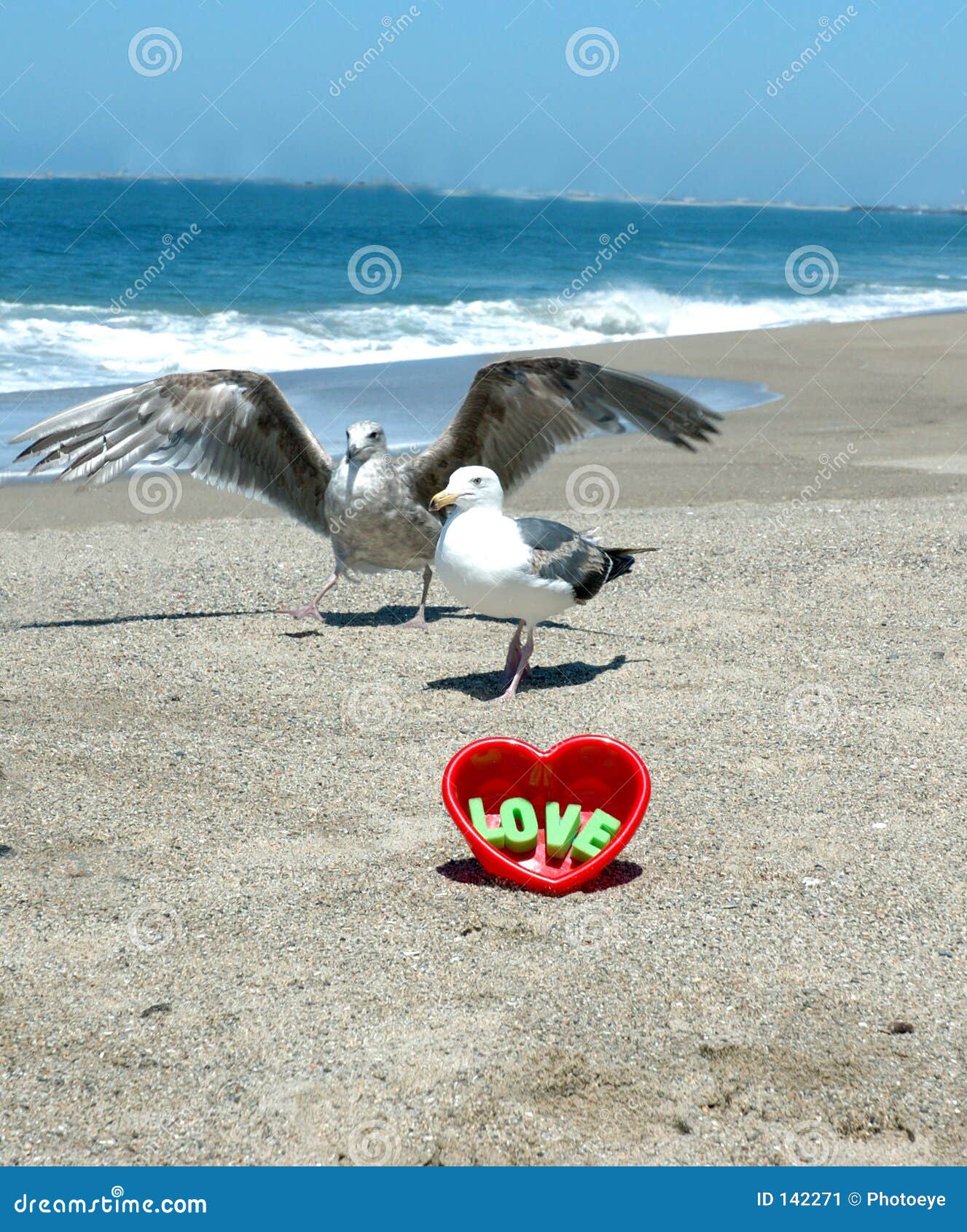 Amor na praia 3 imagem de stock. Imagem de gaivotas, valentina - 142271