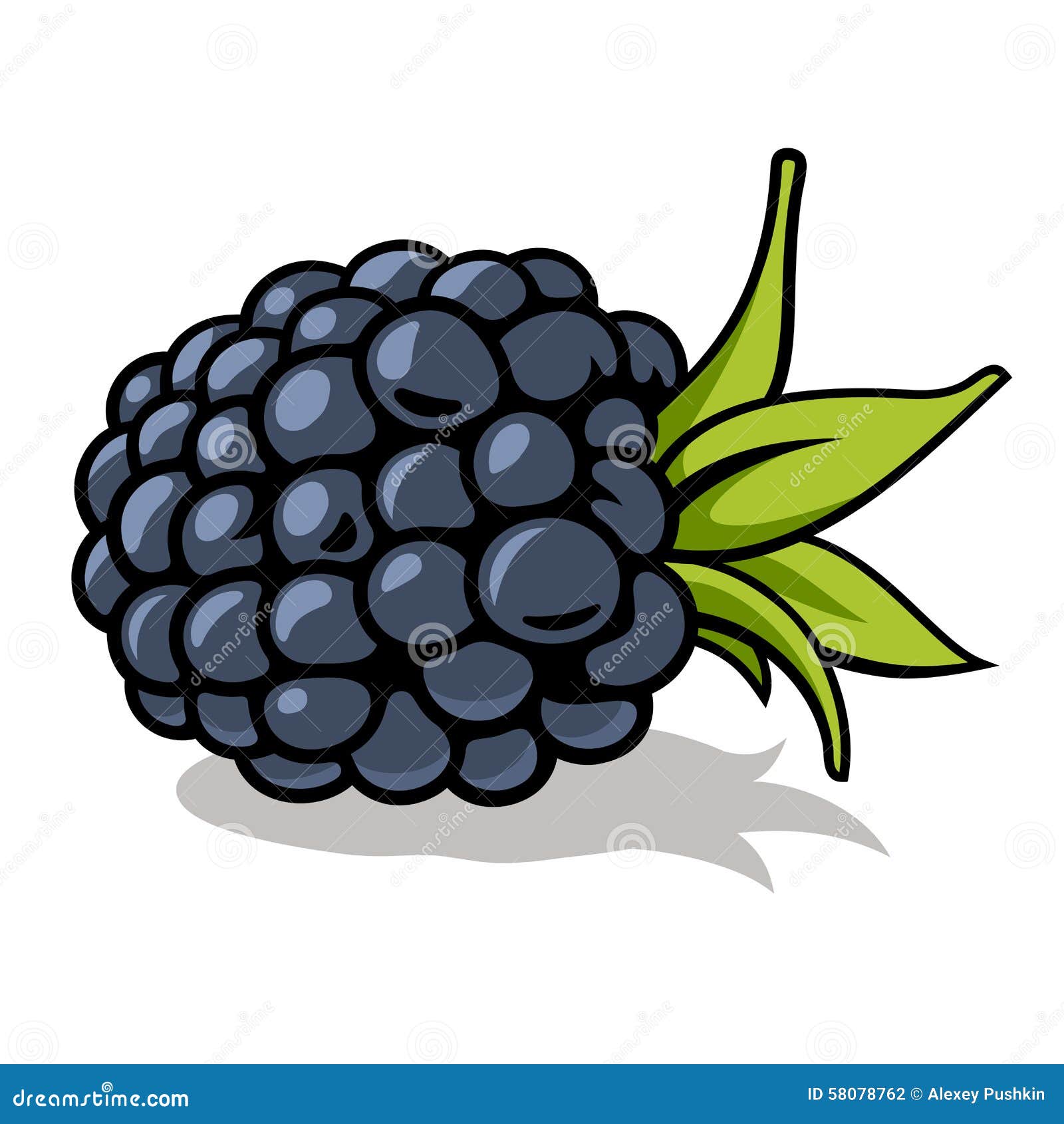 Amora ilustração do vetor. Ilustração de colheita, jardim - 58078762