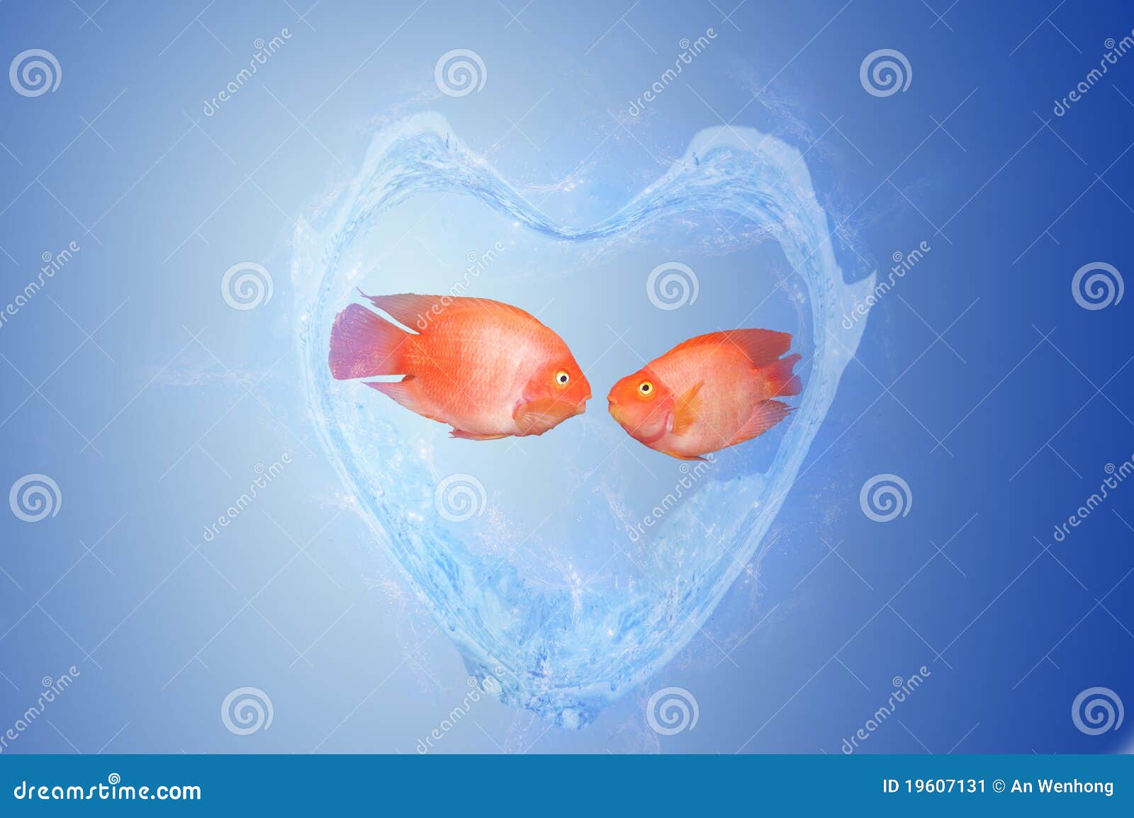Amoureux De Poissons Photos Stock - Téléchargez 390 Photos libres de droits