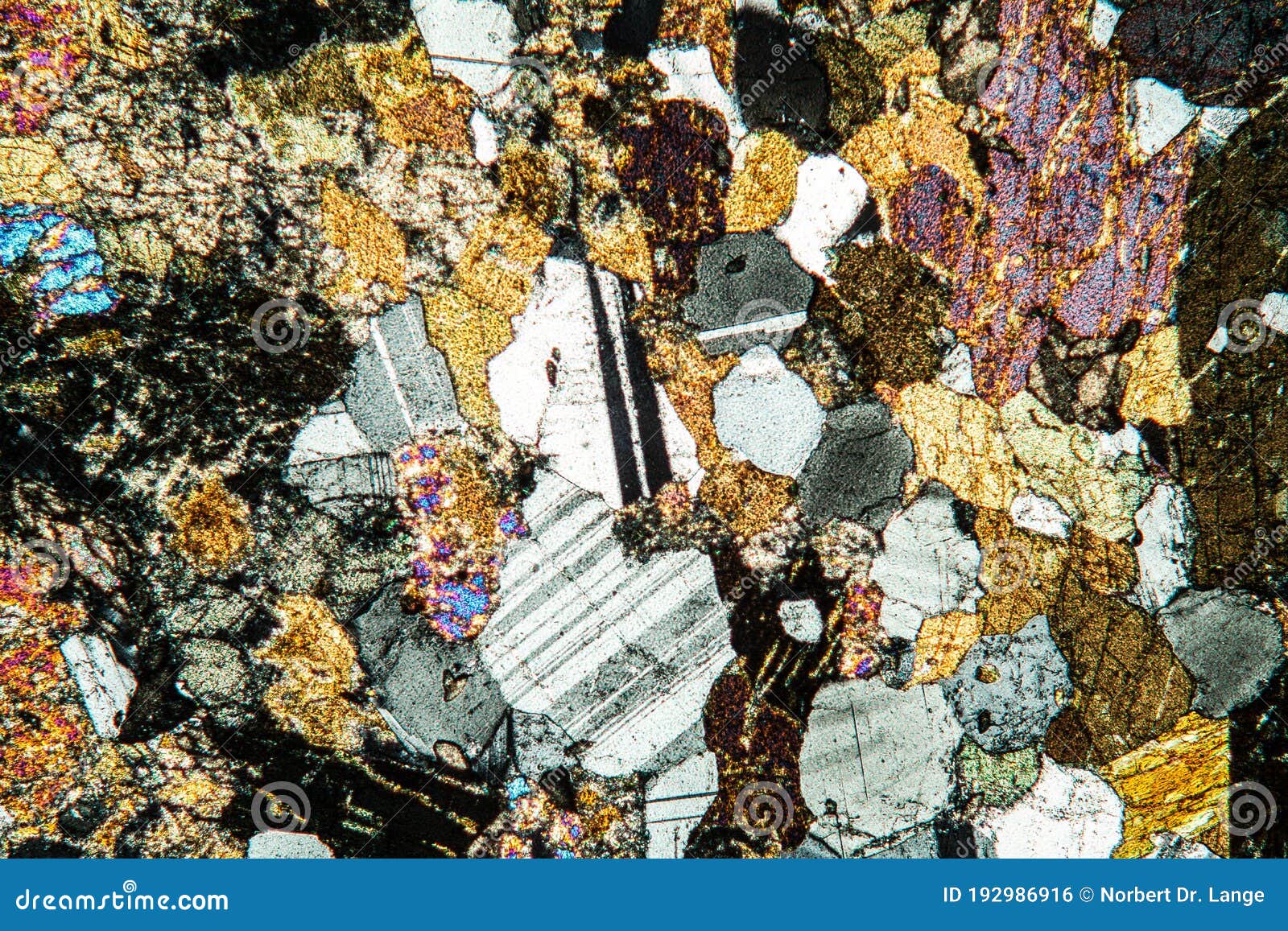 Amphibolite Rock Under The Microscope Royalty-Free Stock Photography ...