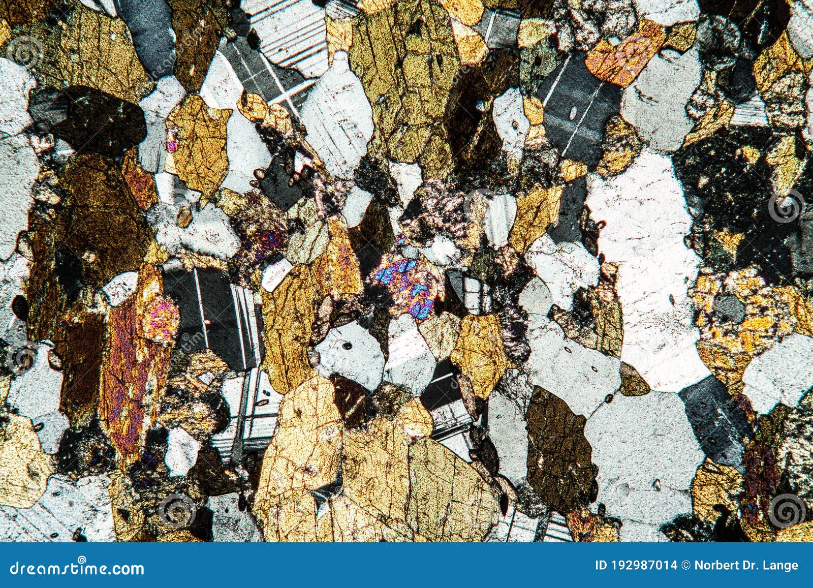 Amphibolite Rock Under the Microscope Stock Photo - Image of igneous ...