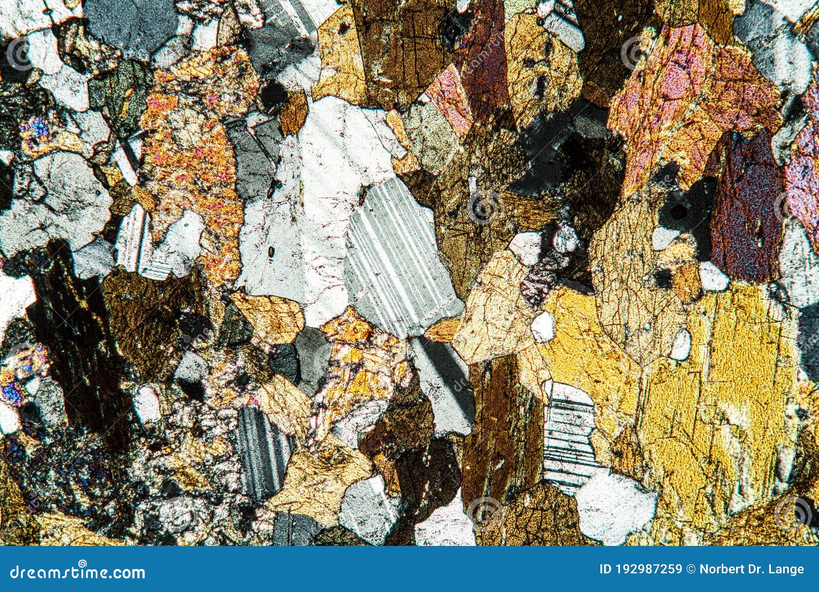Amphibolite Rock Under The Microscope Royalty-Free Stock Photography ...