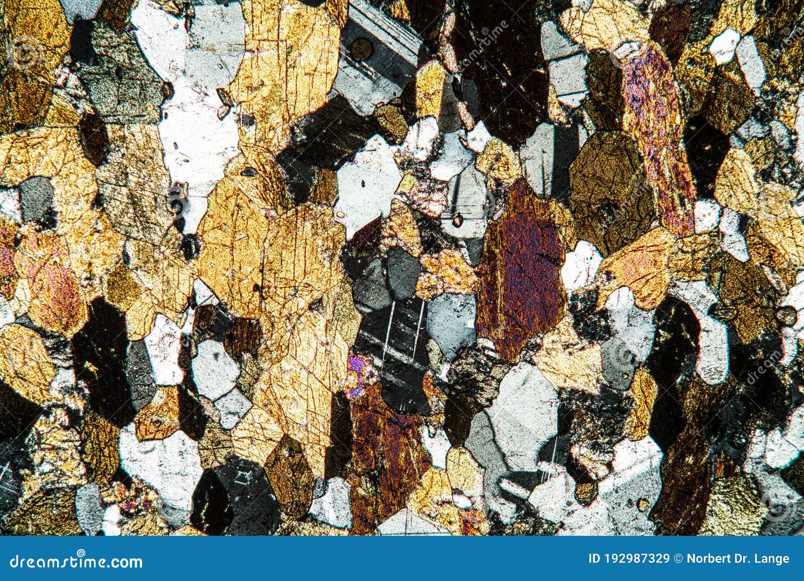 Amphibolite Rock Under The Microscope Royalty-Free Stock Photography ...