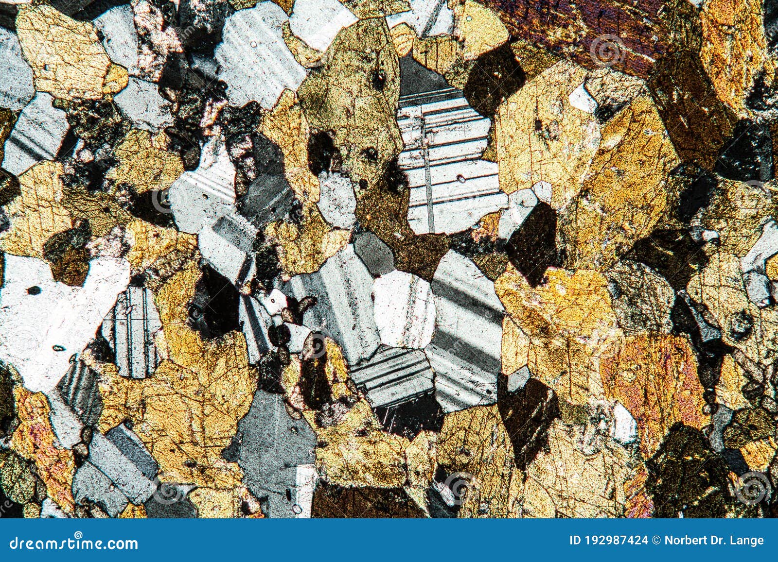 Amphibolite Rock Under the Microscope Stock Photo - Image of earth ...