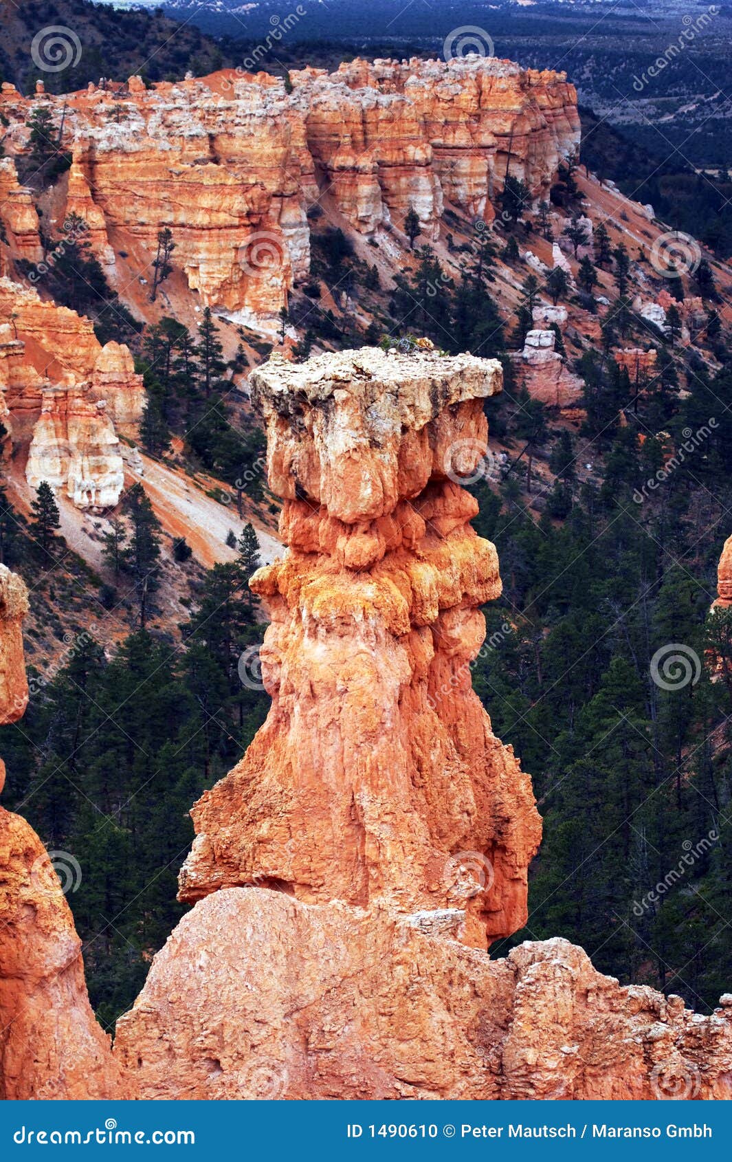 Amphitheater - Bryce Canyon Stock Photo - Image of fall, hoodoos: 1490610