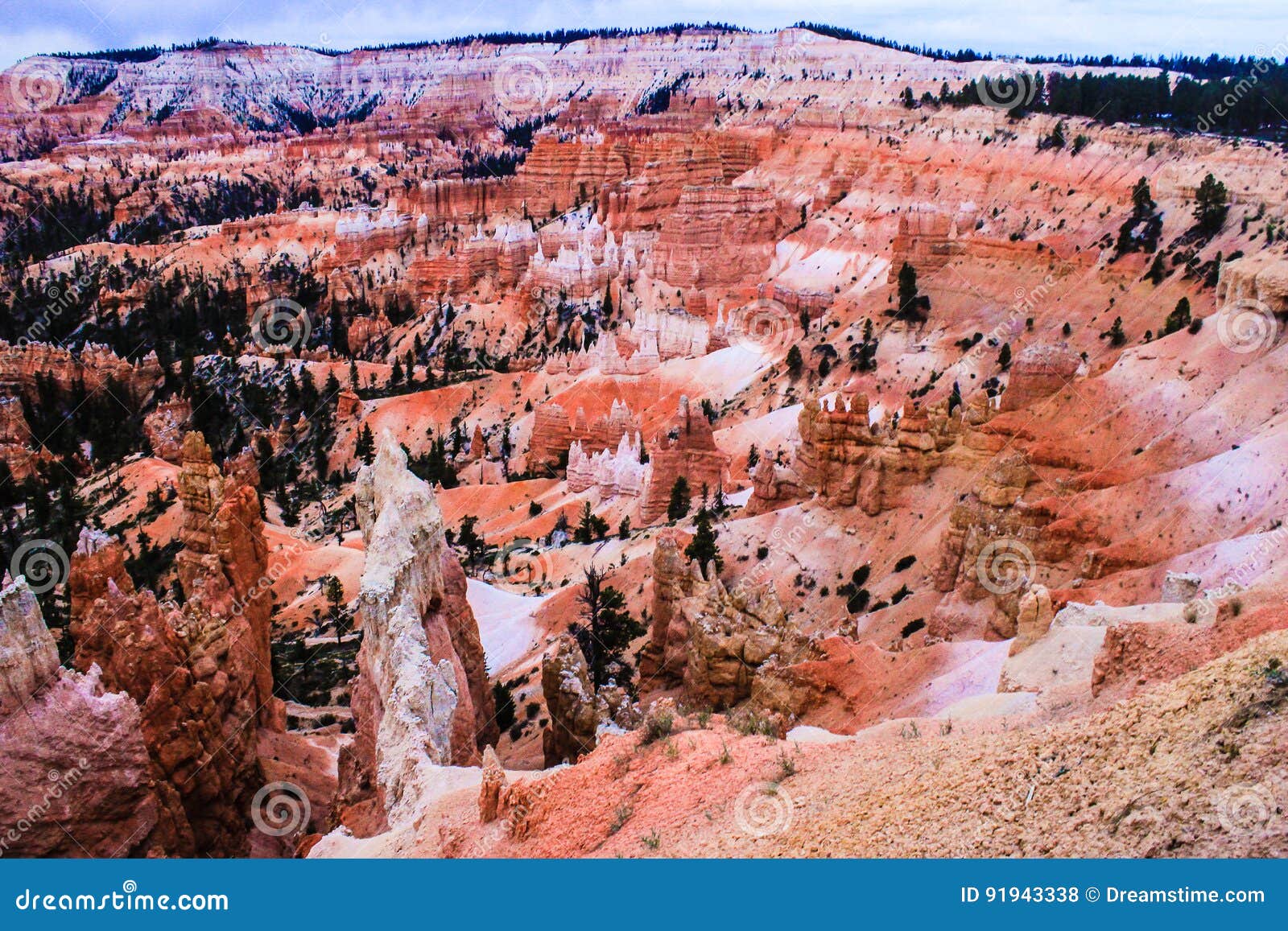 Amphitheater of Bryce Canyon National Park Stock Photo - Image of ...