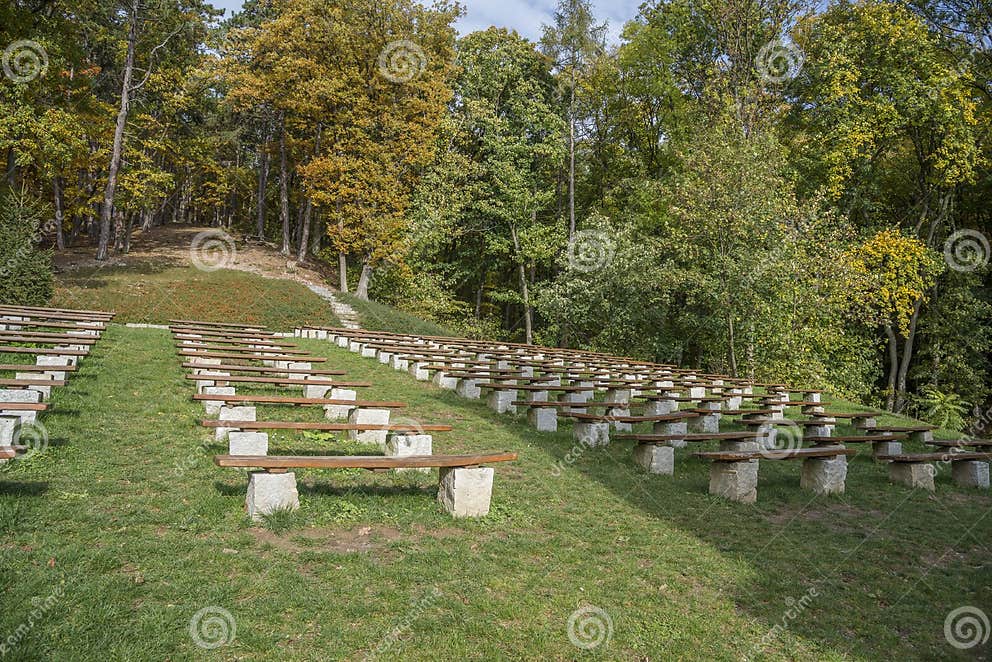 Amphitheater in the Woods in Summer Stock Image - Image of background ...