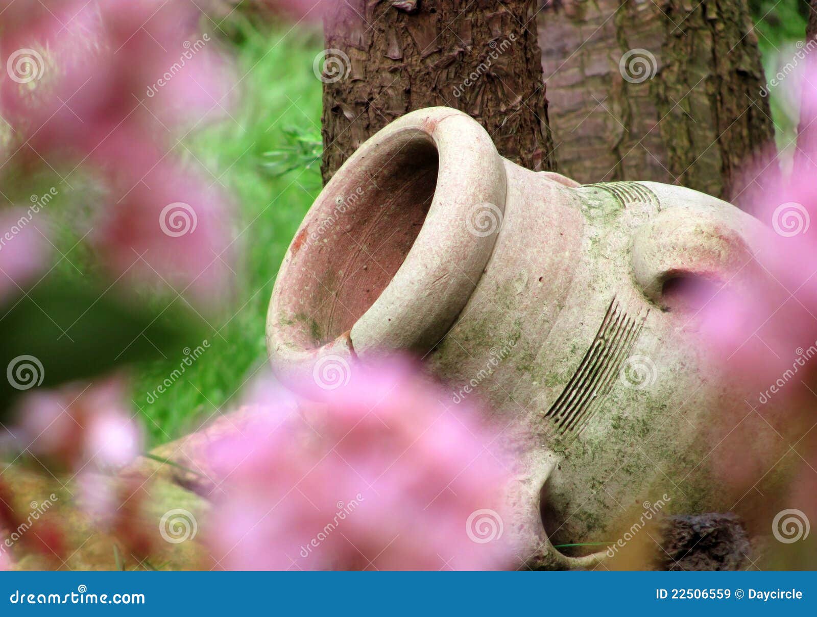 Amphora and flowers stock image. Image of villa, clay - 22506559