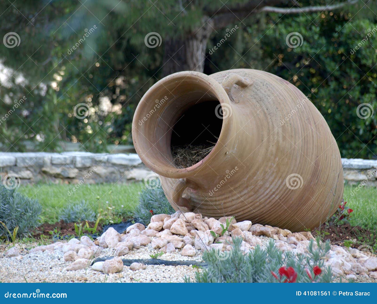 Amphora stock image. Image of amphora, background, botany - 41081561