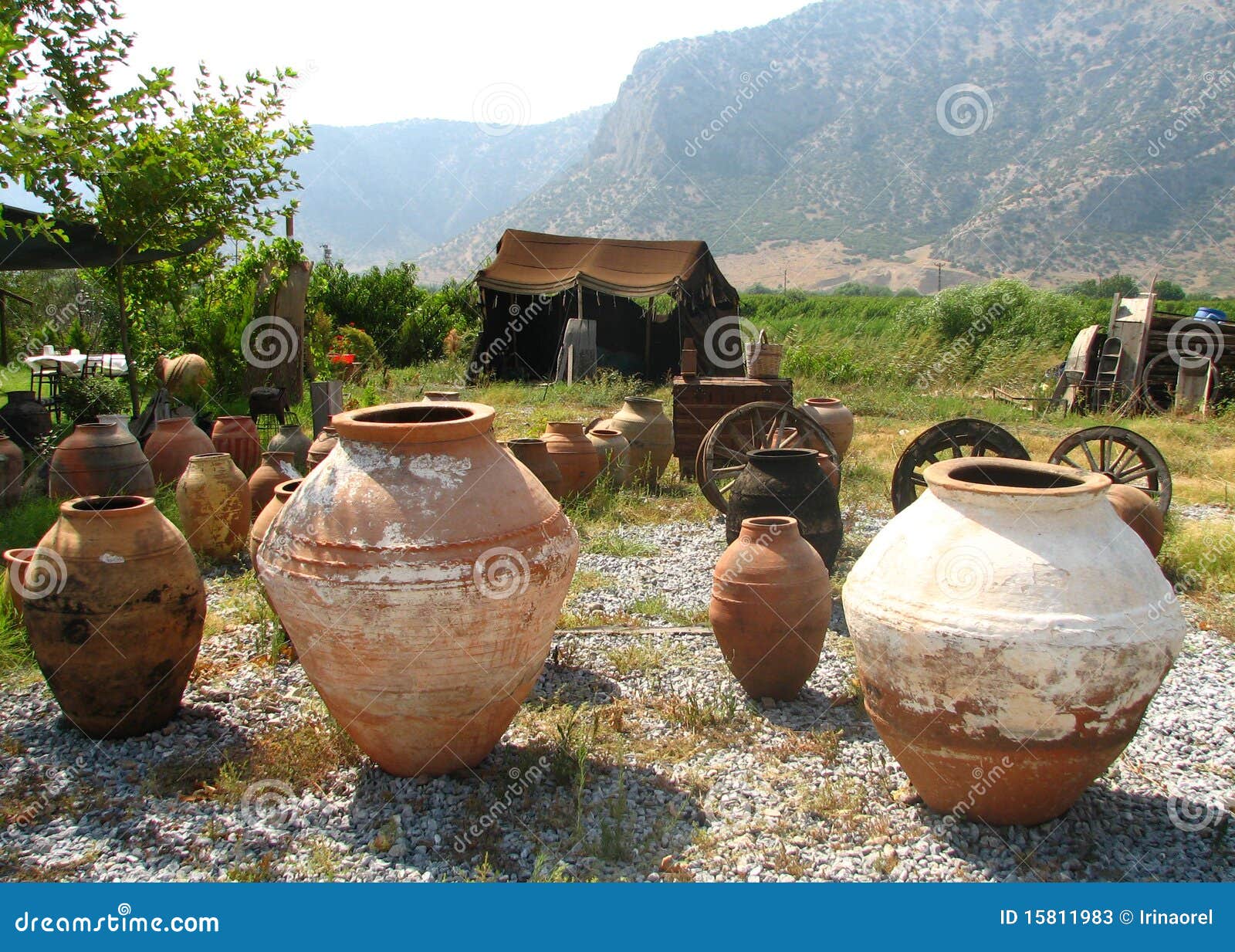 Amphoras stock image. Image of flowers, greek, summer - 15811983