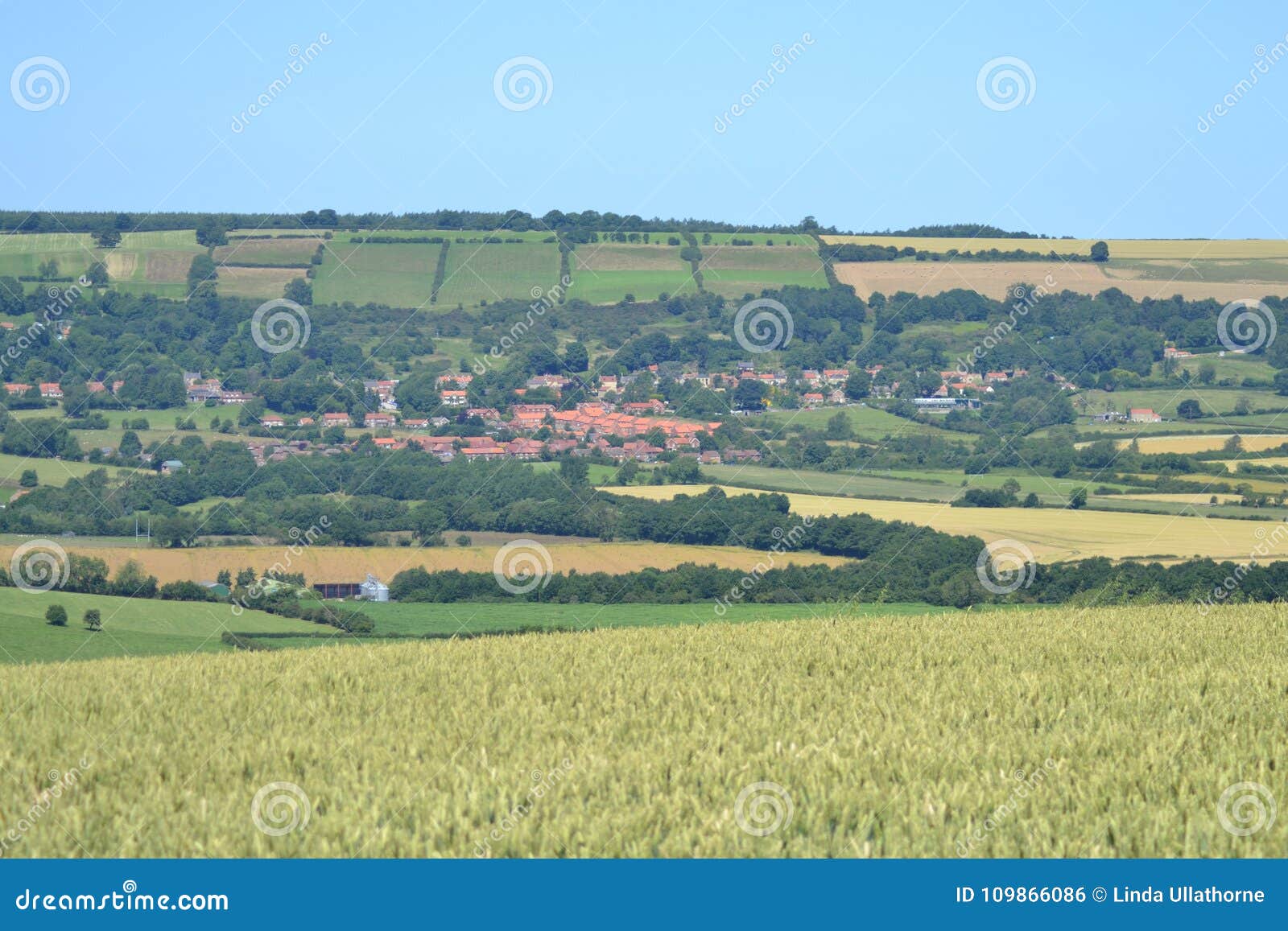 Ampleforth Valley, England stock photo. Image of fields - 109866086