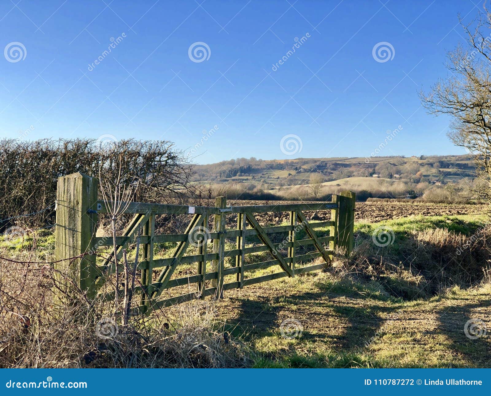 Ampleforth Valley, Yorkshire in Winter Stock Photo - Image of scenic ...
