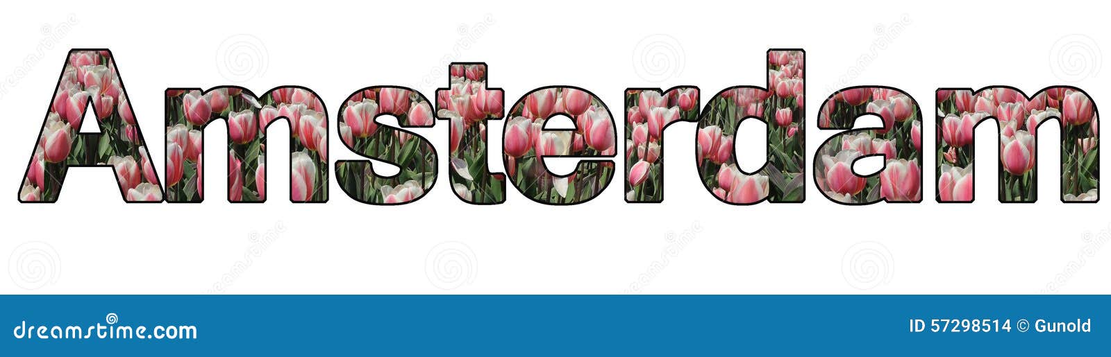 Amsterdam Lettering with Tulips Stock Photo - Image of lettering ...