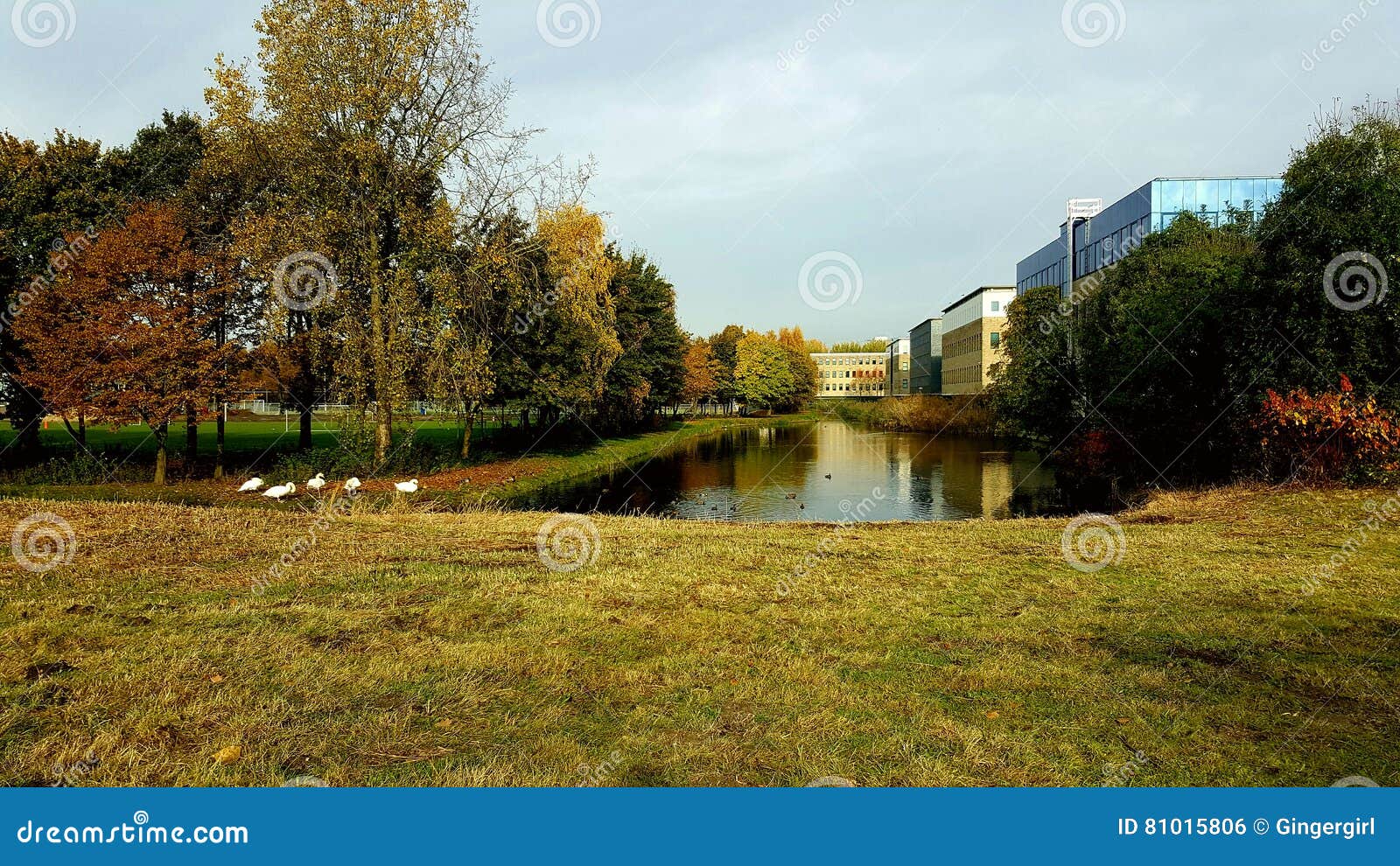 Amsterdam park stock photo. Image of building, fresh - 81015806
