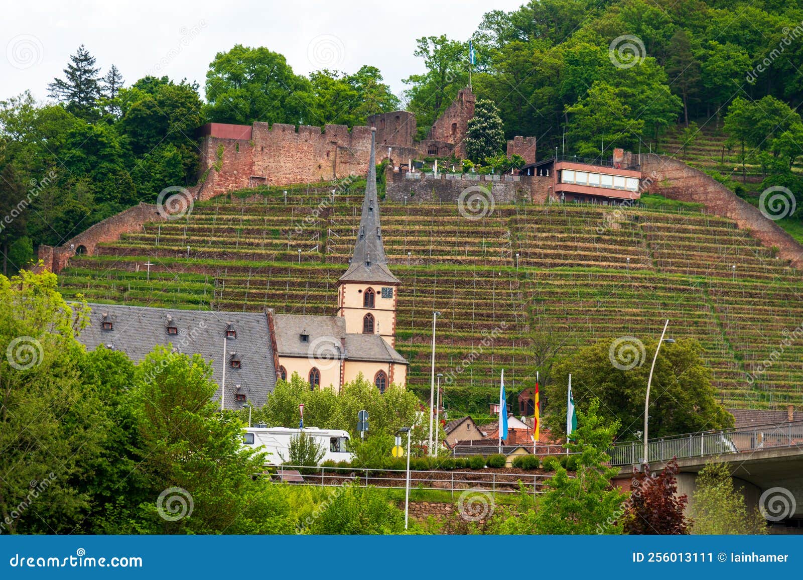Hillside Vineyard Near Erlenbach am Main Germany Editorial Photo ...