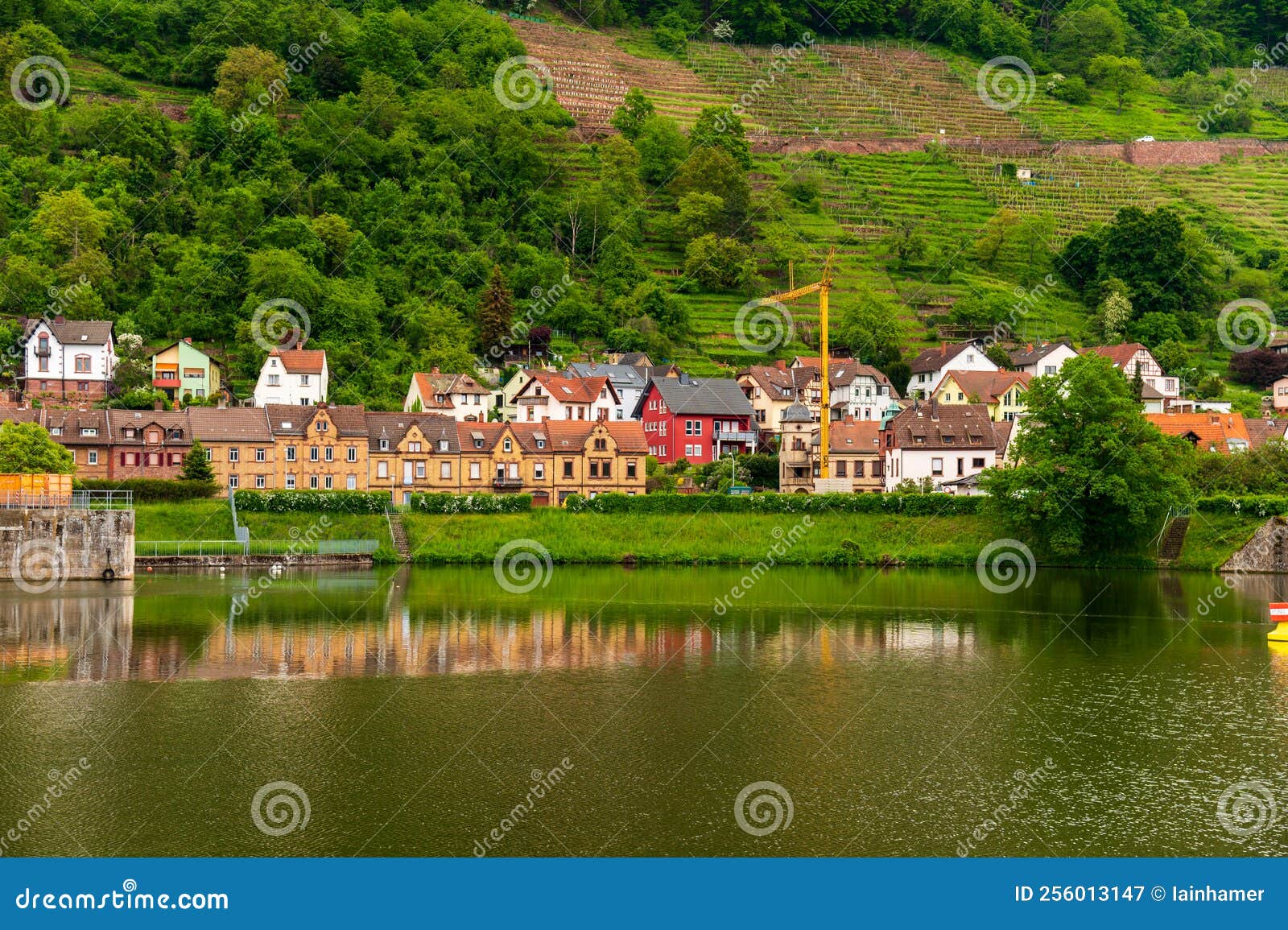 Houses and Vineyard Near Erlenbach am Main Germany Editorial ...