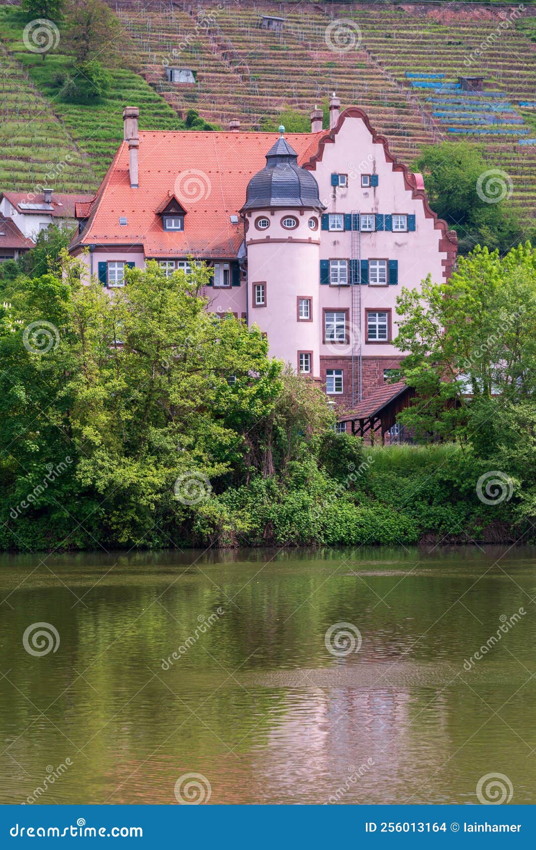 Pink Hotel and Hillside Vineyard Near Erlenbach am Main Germany ...