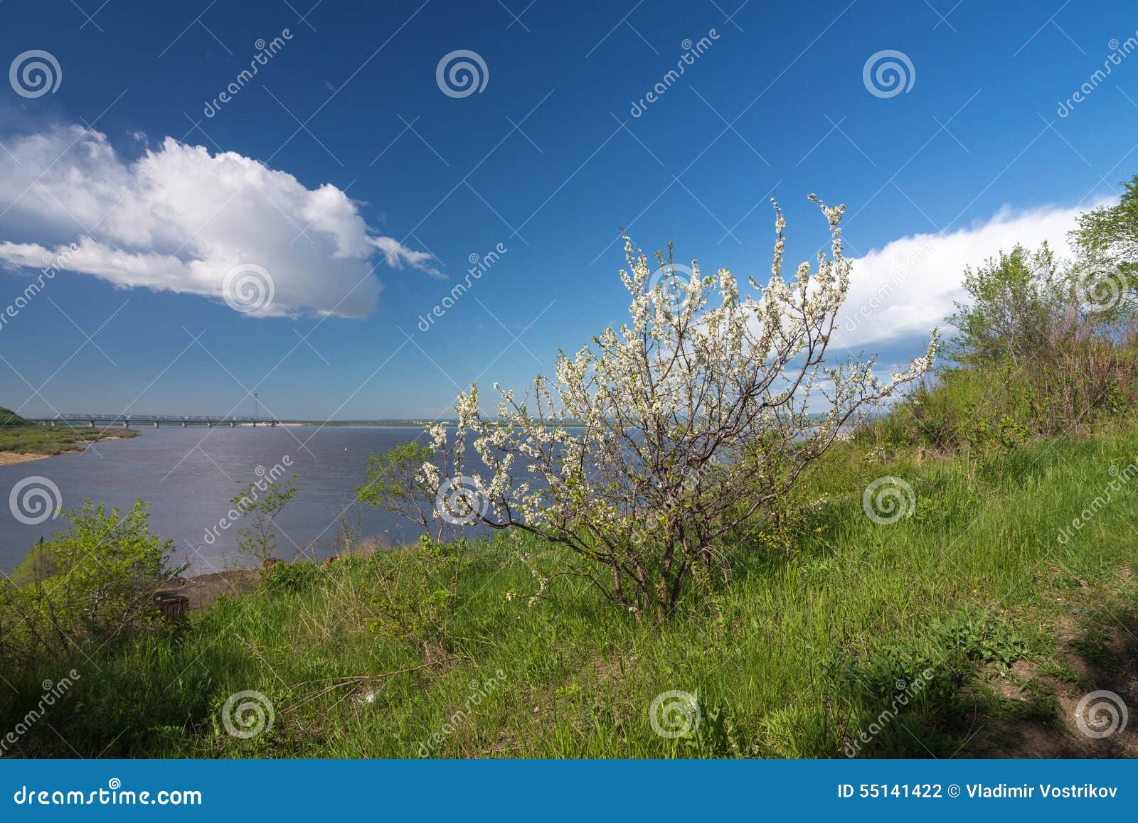 The Amur river. stock photo. Image of coast, real, outdoor - 55141422