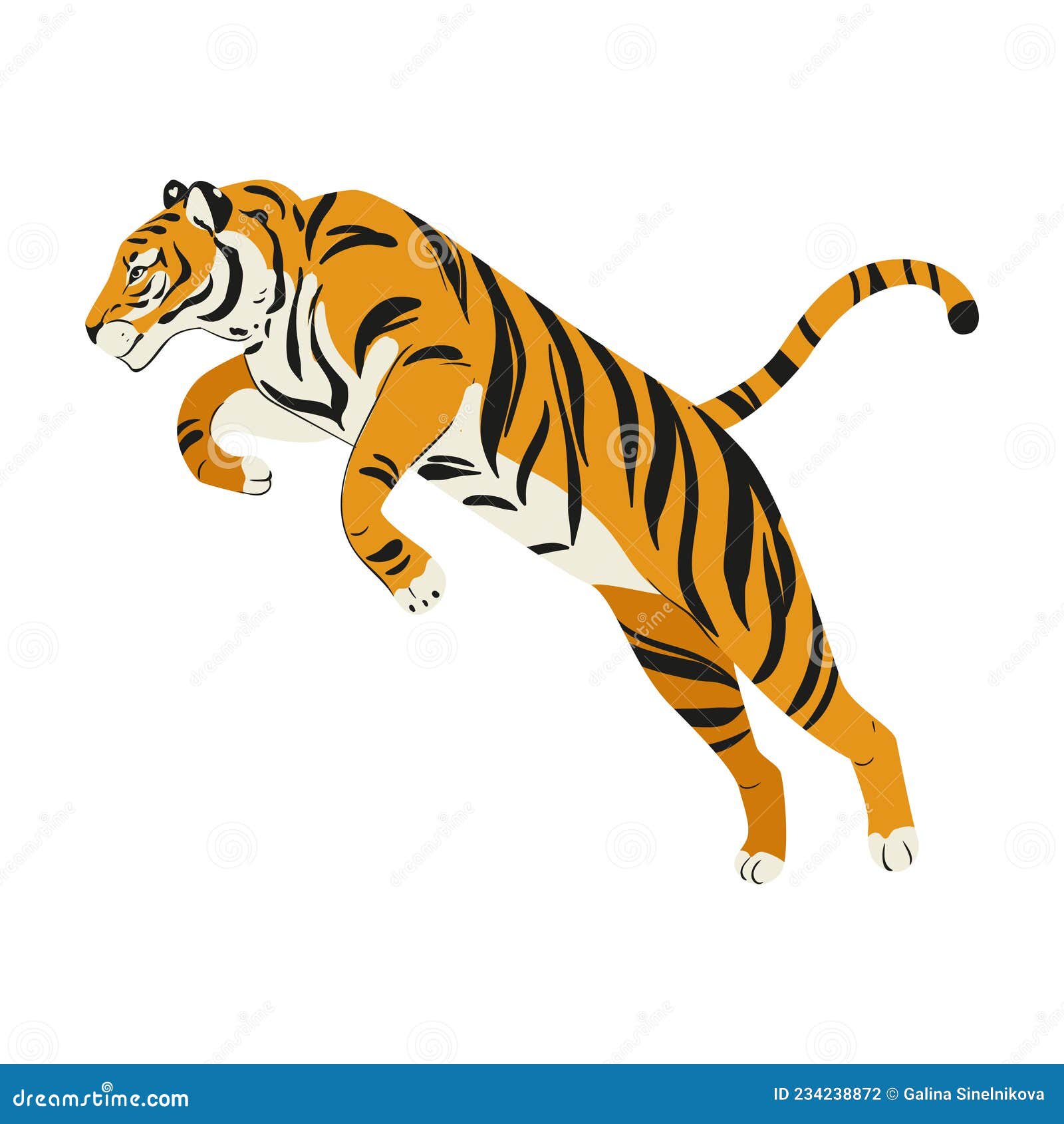 Amur Tiger Stands Isolated On White Background. Vector Tiger Side View ...