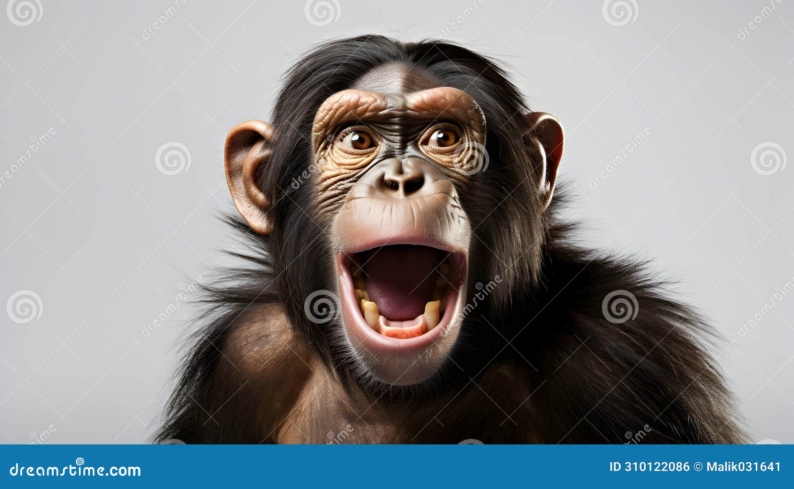 An Amusing Monkey Making Funny Faces Stock Illustration - Illustration ...