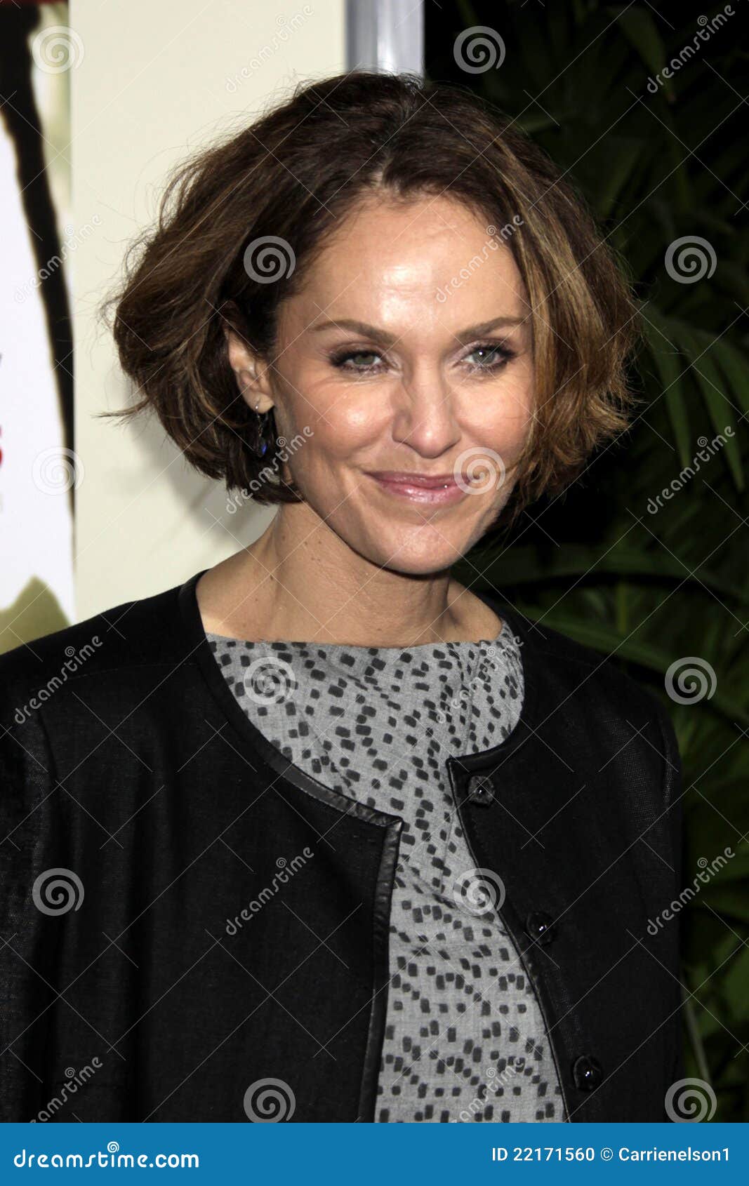 Amy Brenneman editorial image. Image of goldwyn, angeles - 22171560