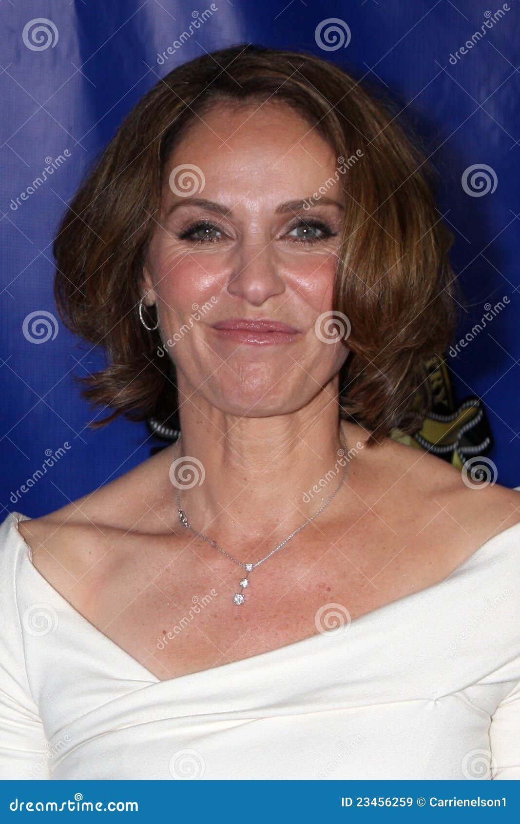 Amy Brenneman editorial stock image. Image of american - 23456259