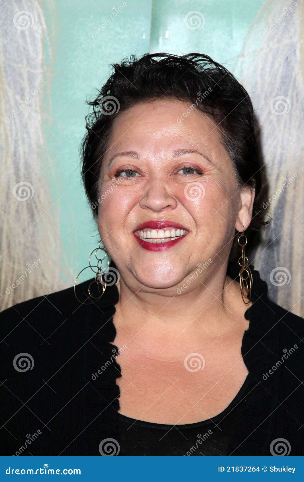 Amy Hill editorial stock image. Image of enlightened - 21837264