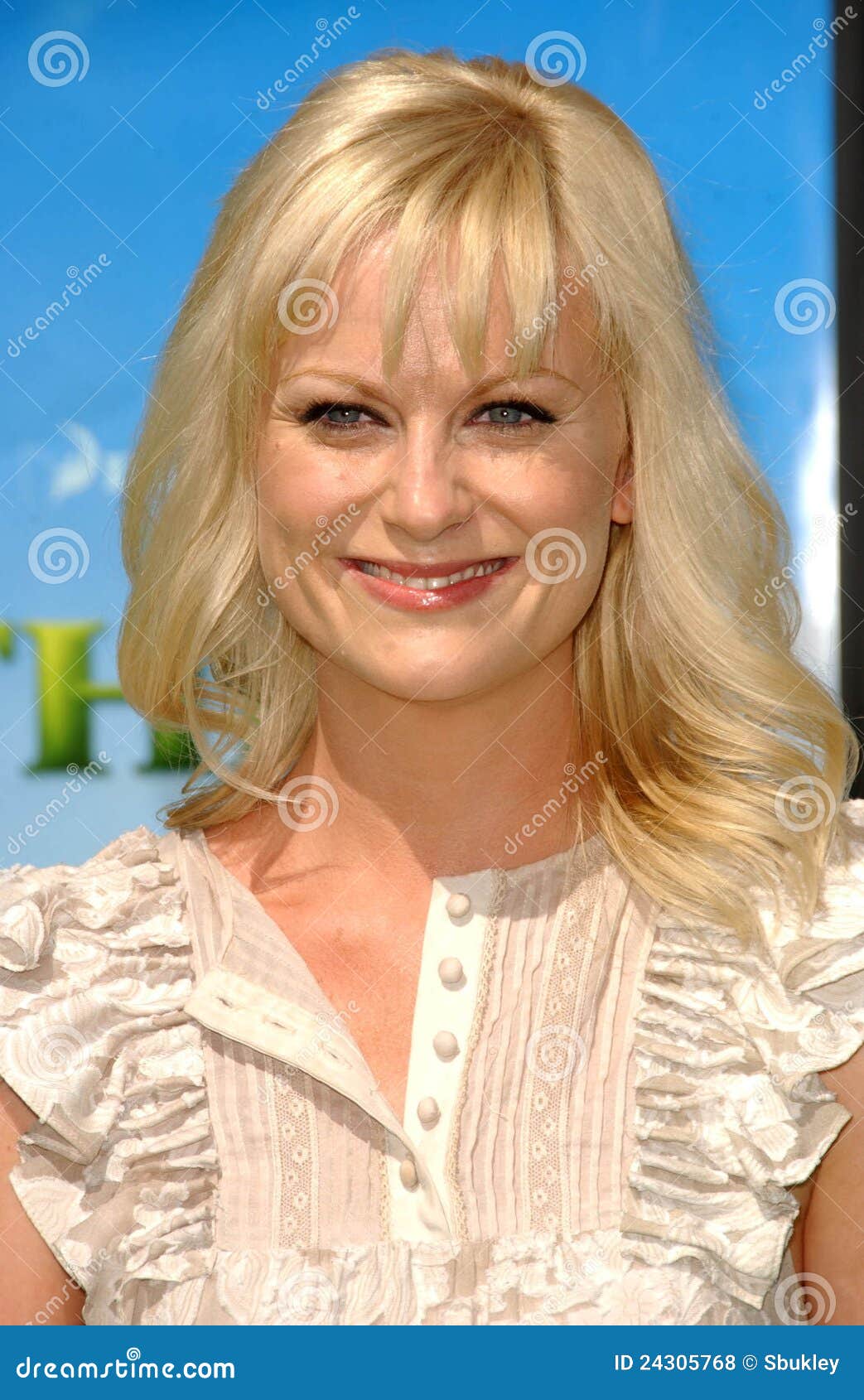 Amy Poehler editorial stock photo. Image of third, theatre - 24305768