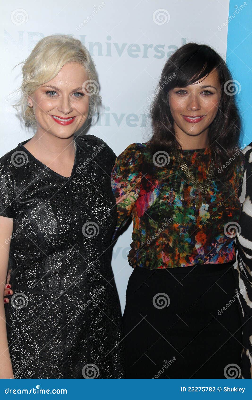 Amy Poehler, Rashida Jones editorial photography. Image of athenaeum ...