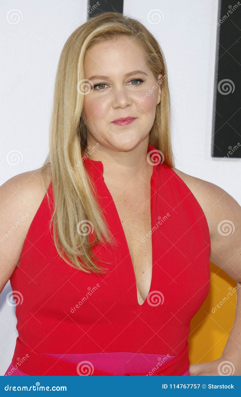 Amy Schumer redaktionelles stockfotografie. Bild von angeles - 114767757