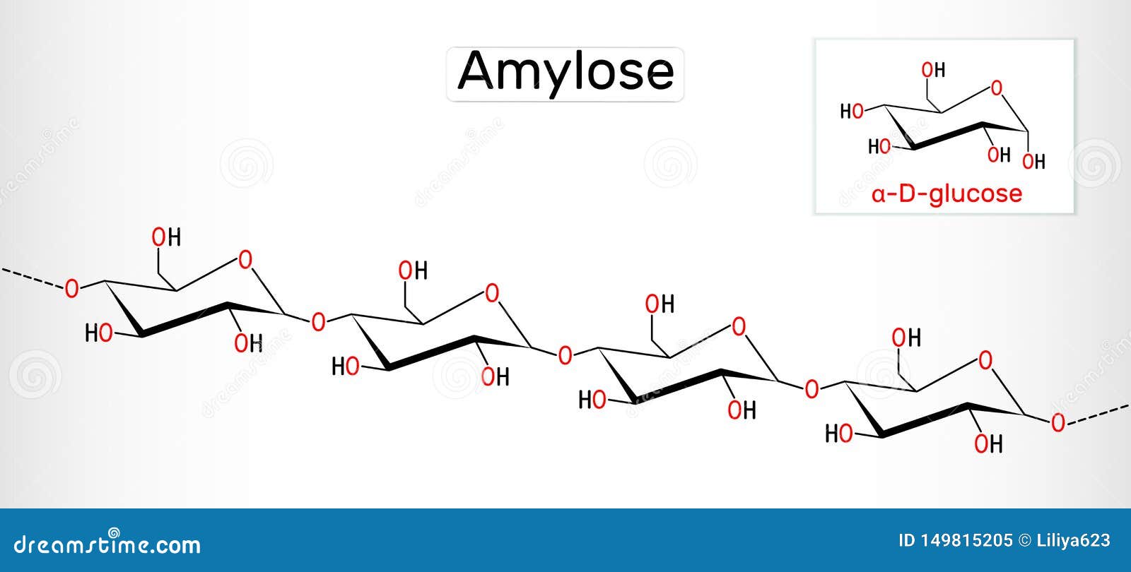 Amylose Molecule. It Is A Polysaccharide And One Of The Two Components ...