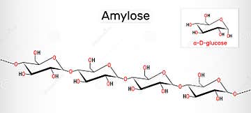 Amylose Molecule. it is a Polysaccharide and One of the Two Components ...