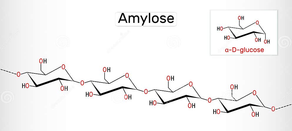 Amylose Molecule. it is a Polysaccharide and One of the Two Components ...
